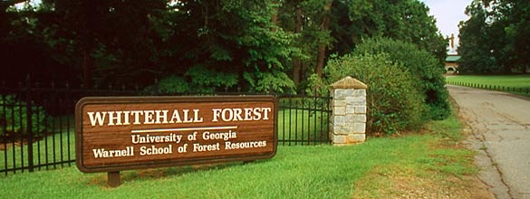 Forestry Building | University Architects